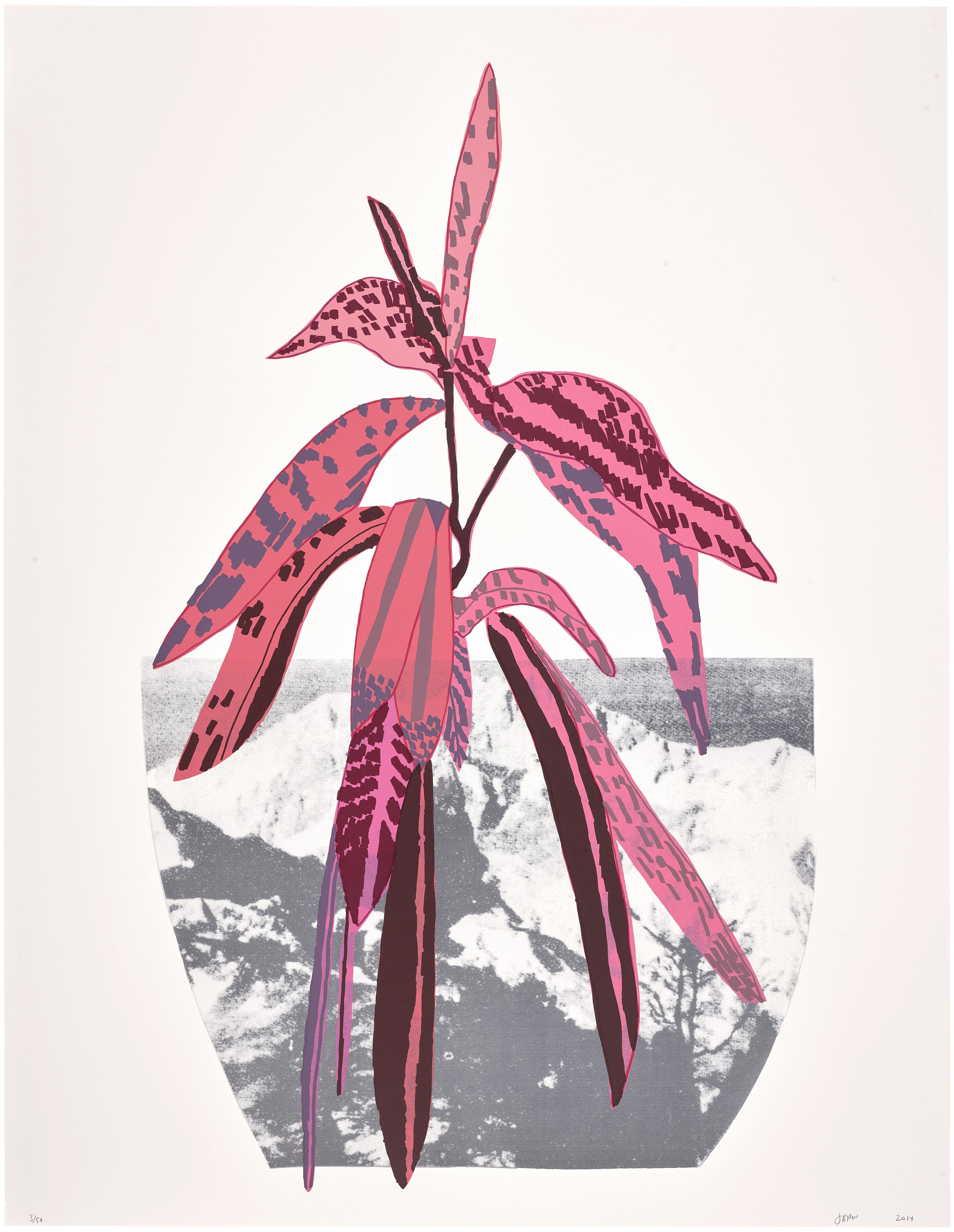 Jonas Wood Editions & Works on Paper