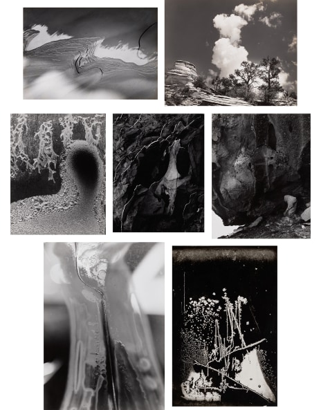 Minor White Nature Photography