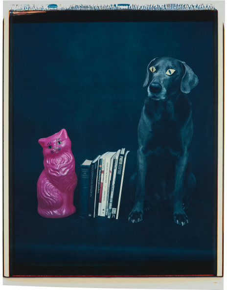 William Wegman Art