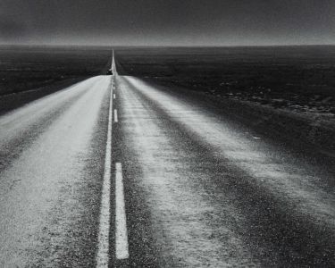 A Constant Pursuit: Photographs from the Collection of Ed Cohen ...