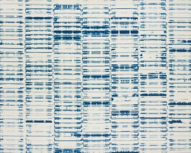 Photographs Tuesday, November 18, 2014