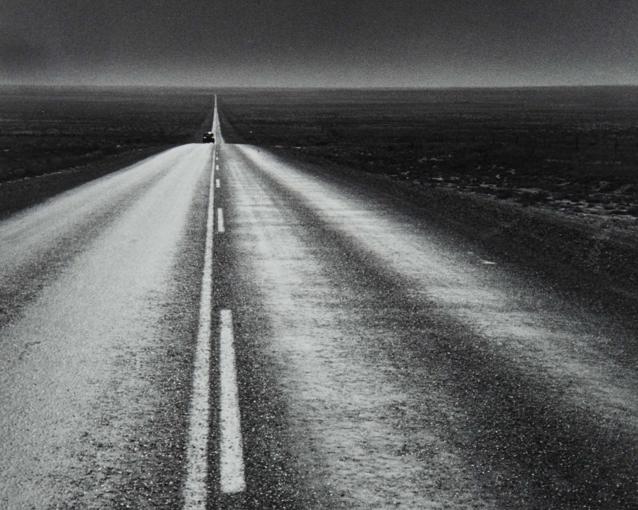 A Constant Pursuit: Photographs from the Collection of Ed Cohen ...