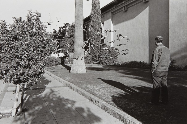 Henry Wessel, Jr. - Photographs New York Wednesday, October 1, 2014 ...