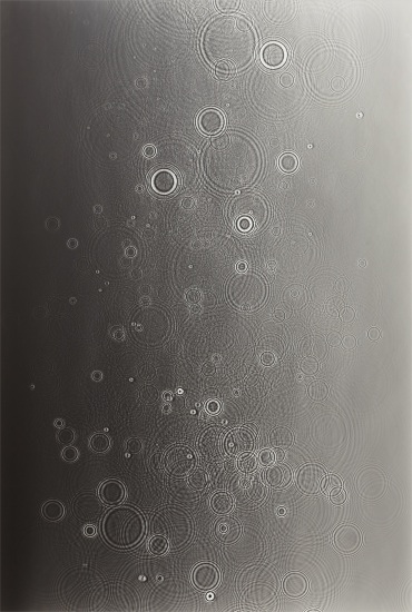 Adam Fuss - Photographs New York Tuesday, September 30, 2014 | Phillips