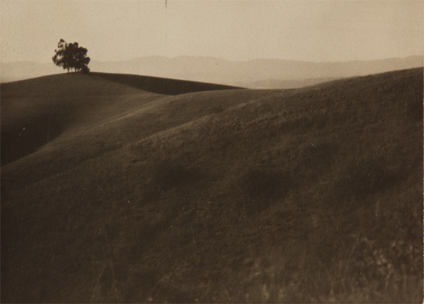 Karl Struss - The Odyssey of Collecting: Photographs from Joy of Giving ...