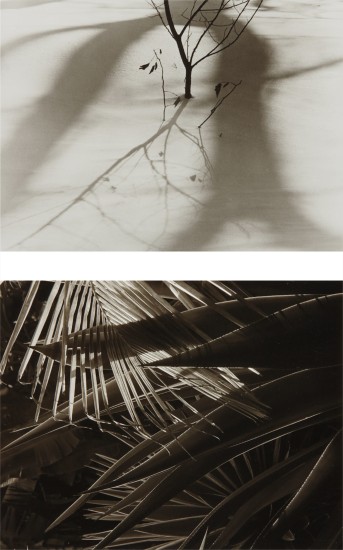 Ralph Steiner - Photographs from the Collection of the Art Institute of ...