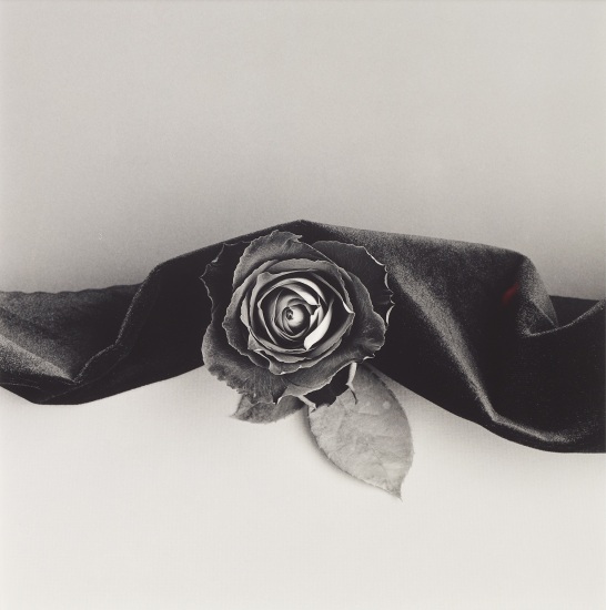 Robert Mapplethorpe - Photographs London Tuesday, November 22, 2022 ...