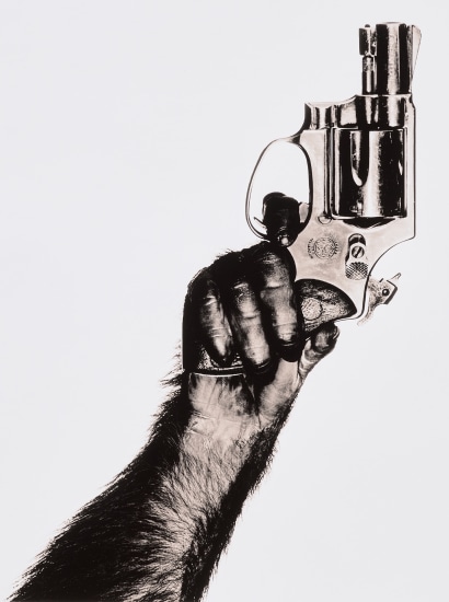 Albert Watson - Photographs London Tuesday, November 21, 2023 | Phillips