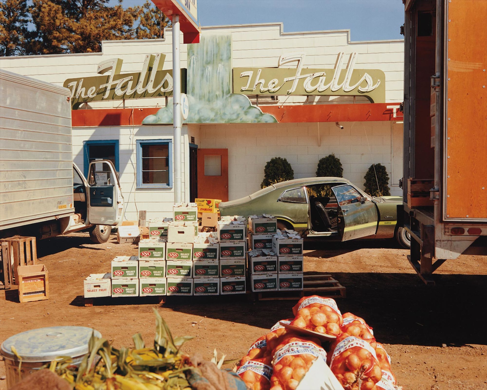 The Odyssey of Collecting: Photographs from Joy of Giving Something ...