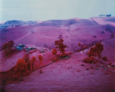Richard Mosse Photographs