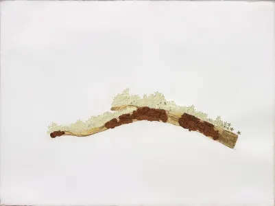 Jim Hodges Desktop: Online Auction