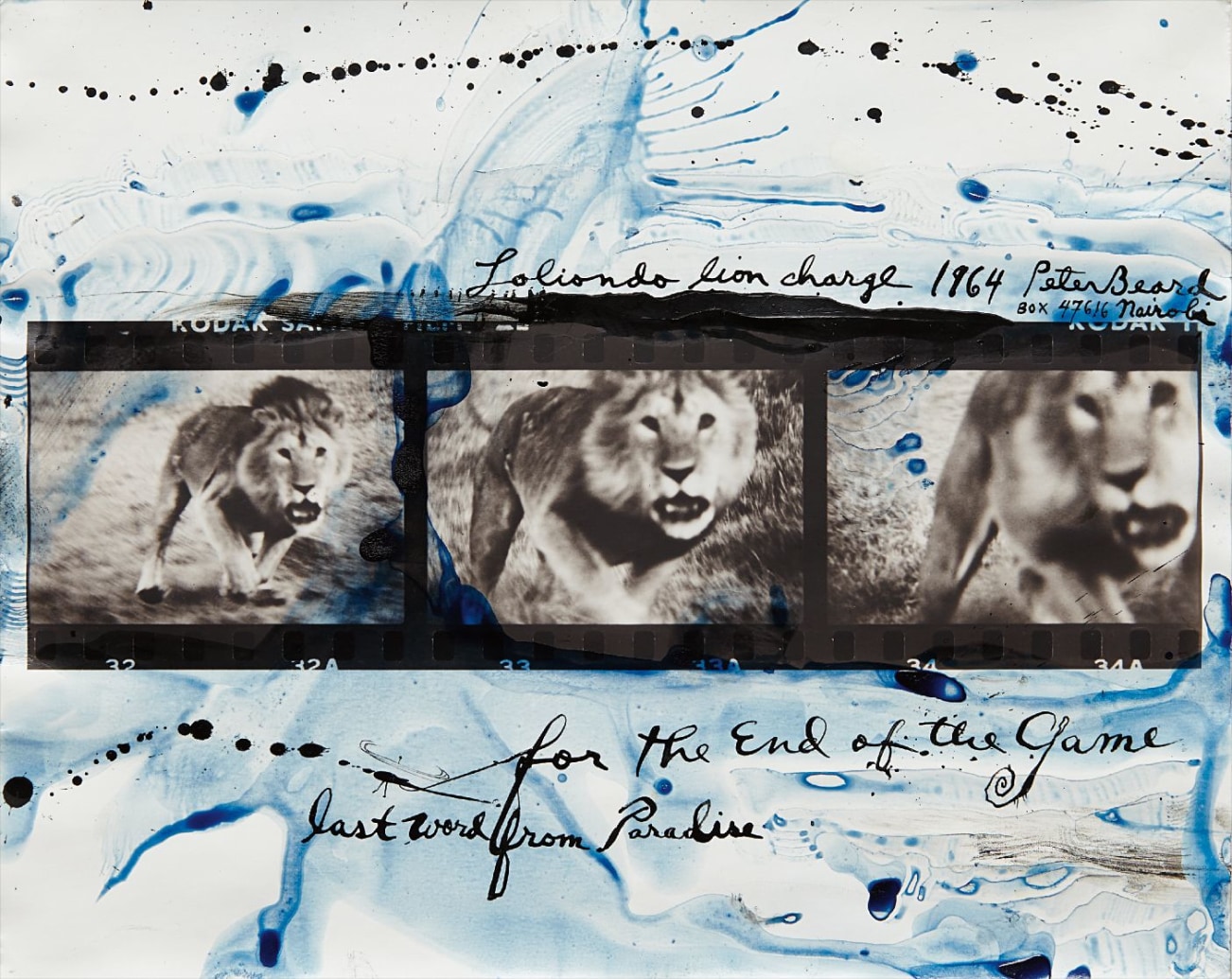 Peter Beard Photographs