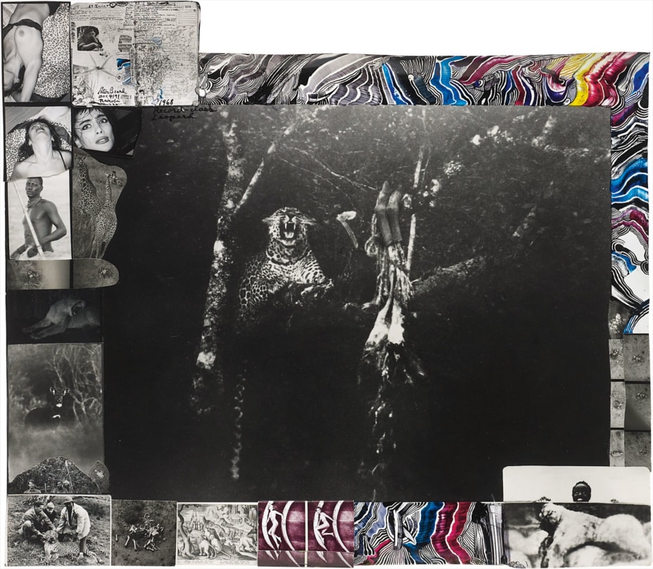 Peter Beard Photographs