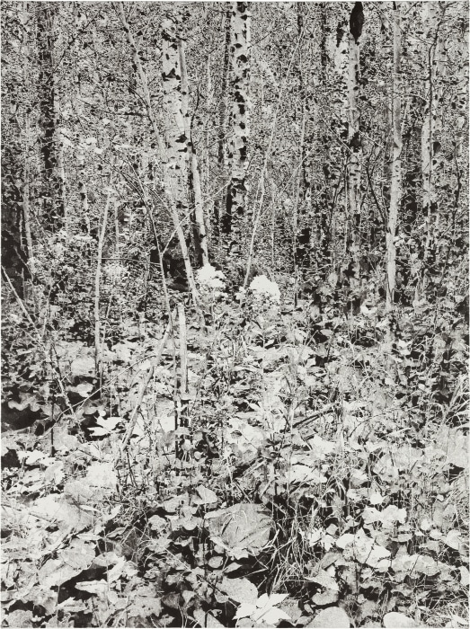 James Chronister - New Now, New York Tuesday, March 12, 2024 at EDT ...