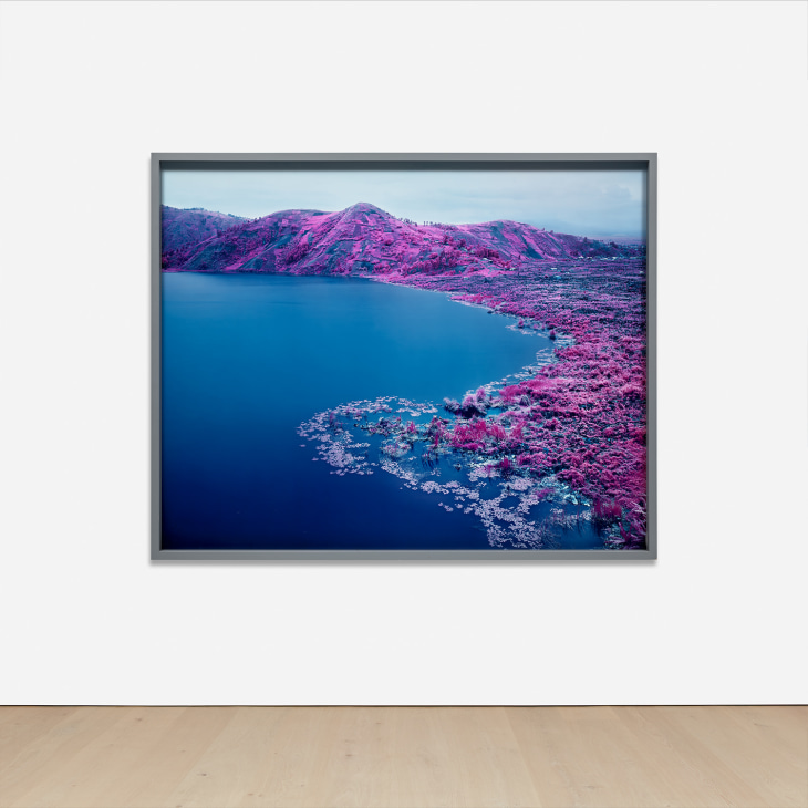 Richard Mosse - Photographs, New York Friday, April 5, 2024 at EDT ...