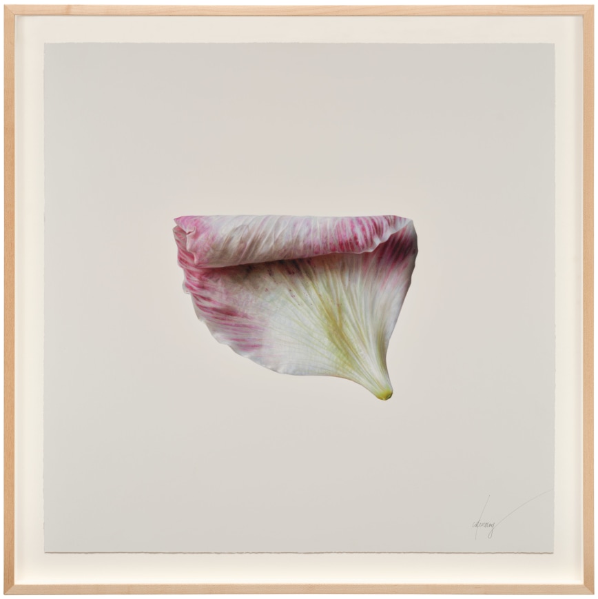 CJ Hendry Modern & Contemporary Art: Online Auction, New York