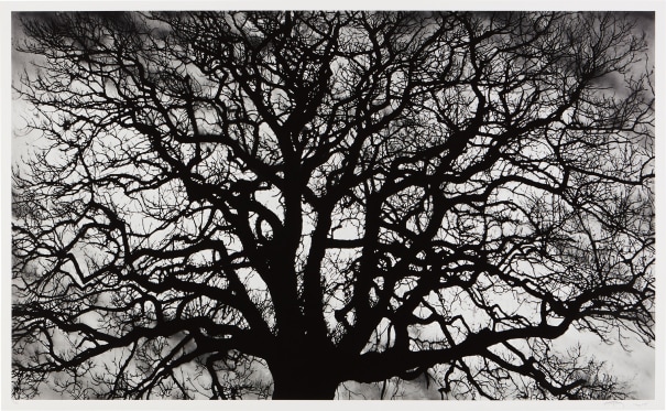 Robert Longo Editions & Works on Paper