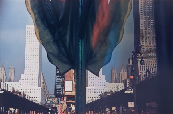 Ernst Haas Color Vision: Master Prints from Guy Stricherz and Irene Malli