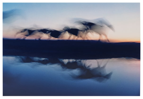 Ernst Haas Color Vision: Master Prints from Guy Stricherz and Irene Malli