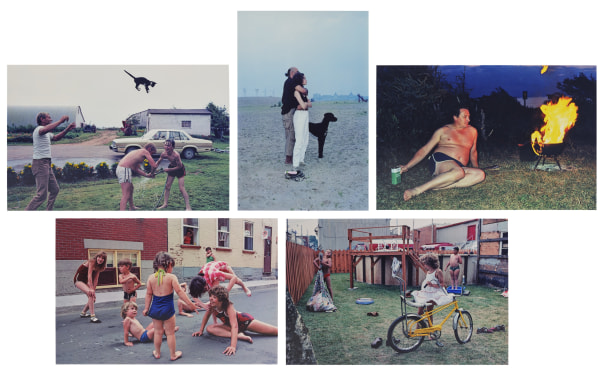 Stephen Scheer Color Vision: Master Prints from Guy Stricherz and Irene ...