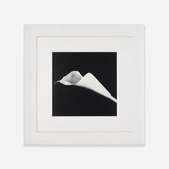 Robert Mapplethorpe - Photographs, London Thursday, November 21, 2024 ...