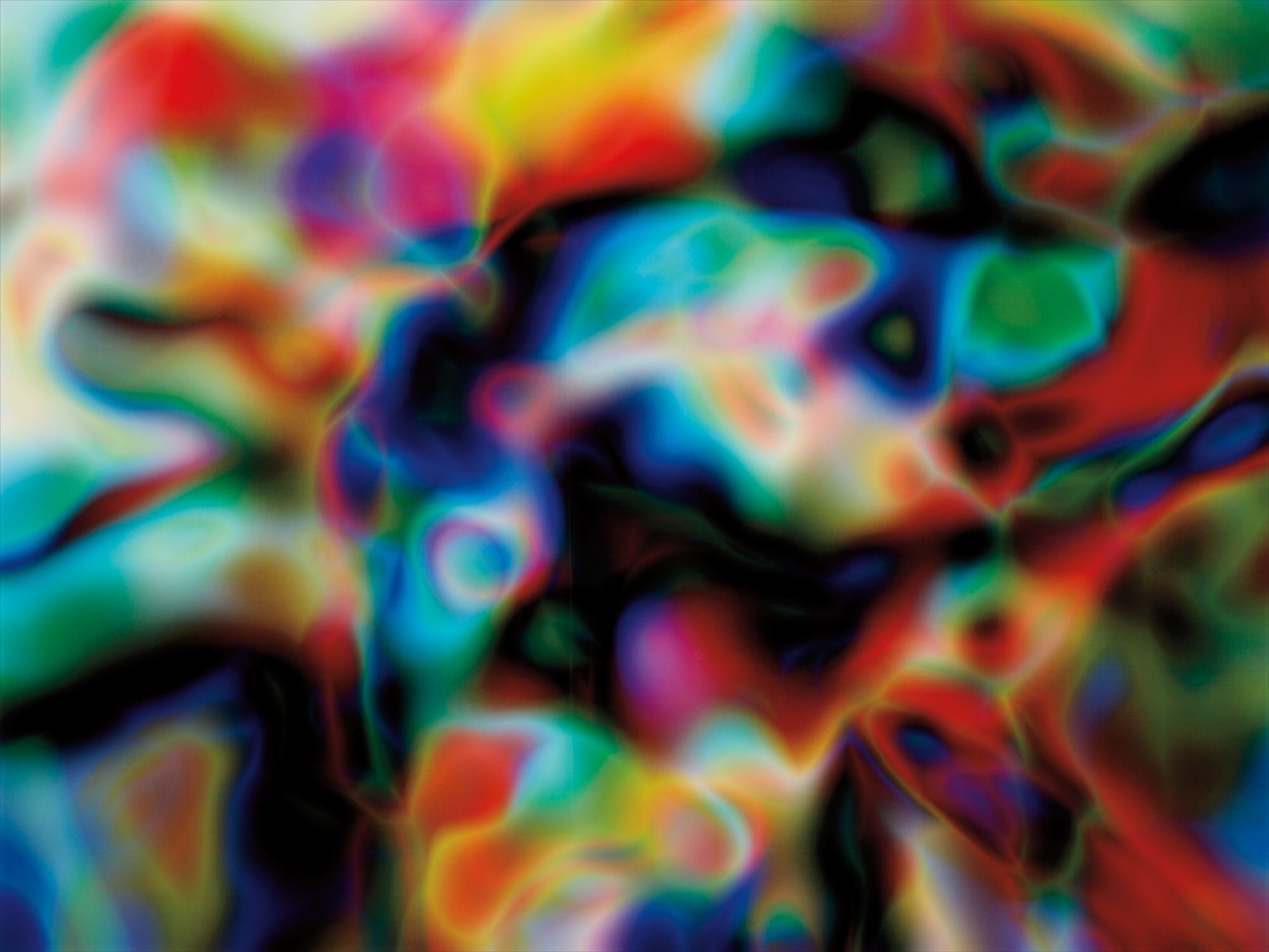 Thomas Ruff Photographs