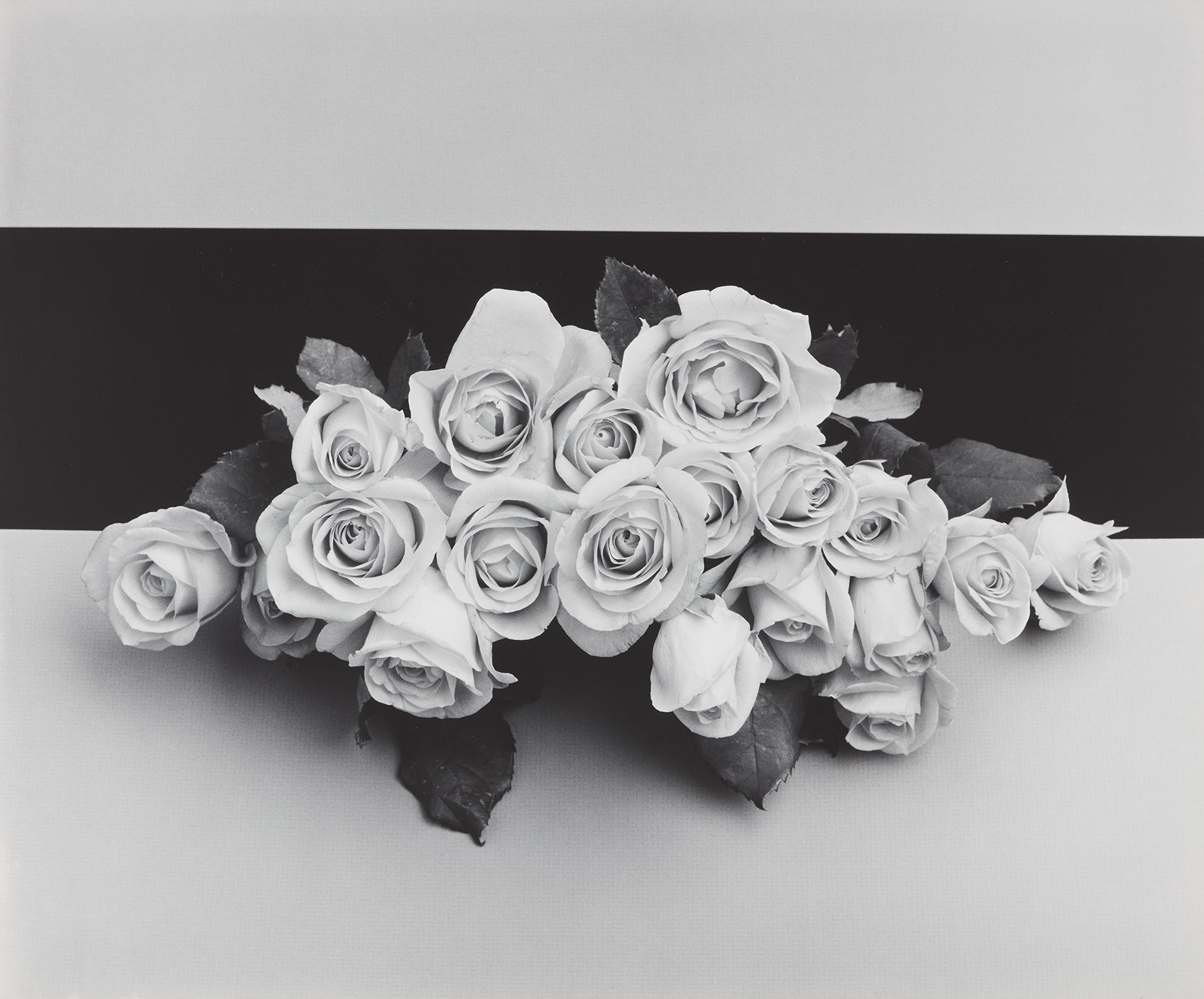 Robert Mapplethorpe - Photographs, New York Wednesday, April 2, 2025 at ...