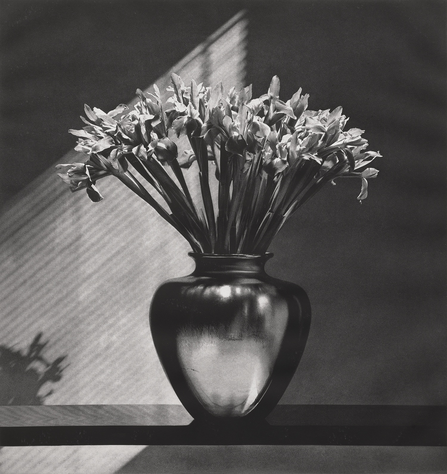 Robert Mapplethorpe Photographs