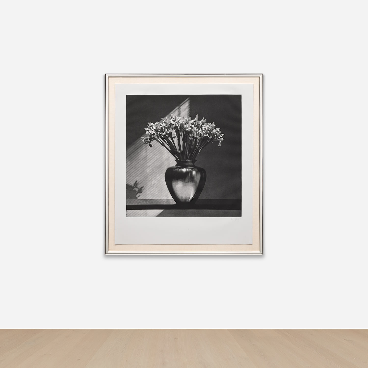 Robert Mapplethorpe Photographs